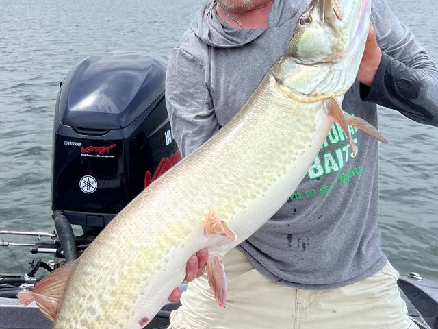 How to Catch Tiger Muskie: Best Lures, Tactics, and Top Fishing Spots ...
