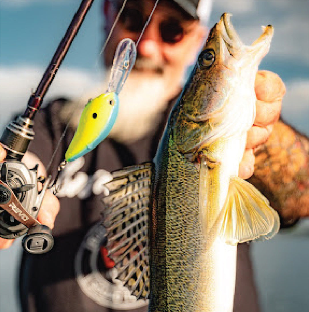 Summer Bass Fishing Deep Ledges and Drop Offs – Livingston Lures