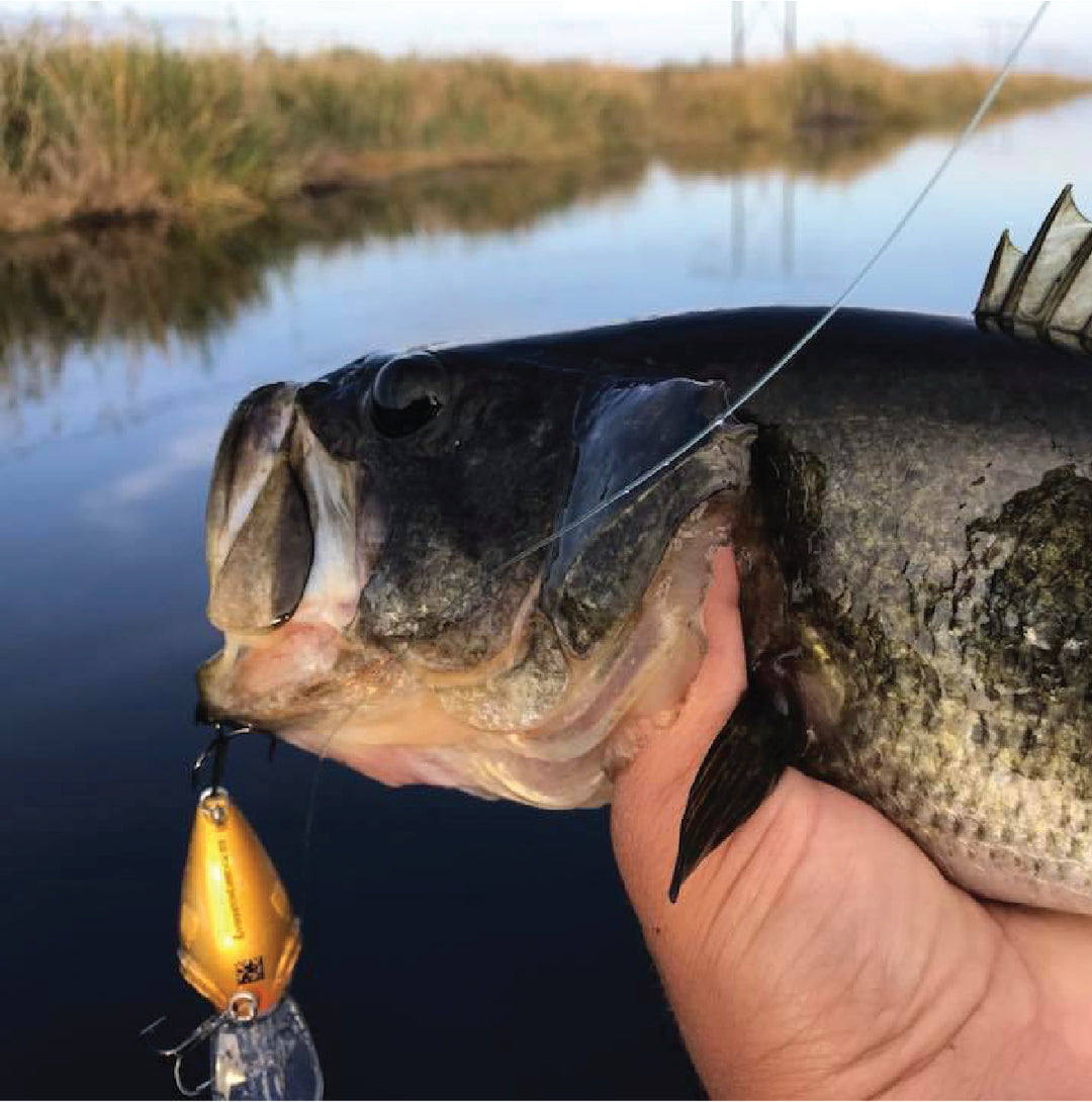 Best Catfish Rigs: The Top Catfishing Rigs for Serious Anglers ...